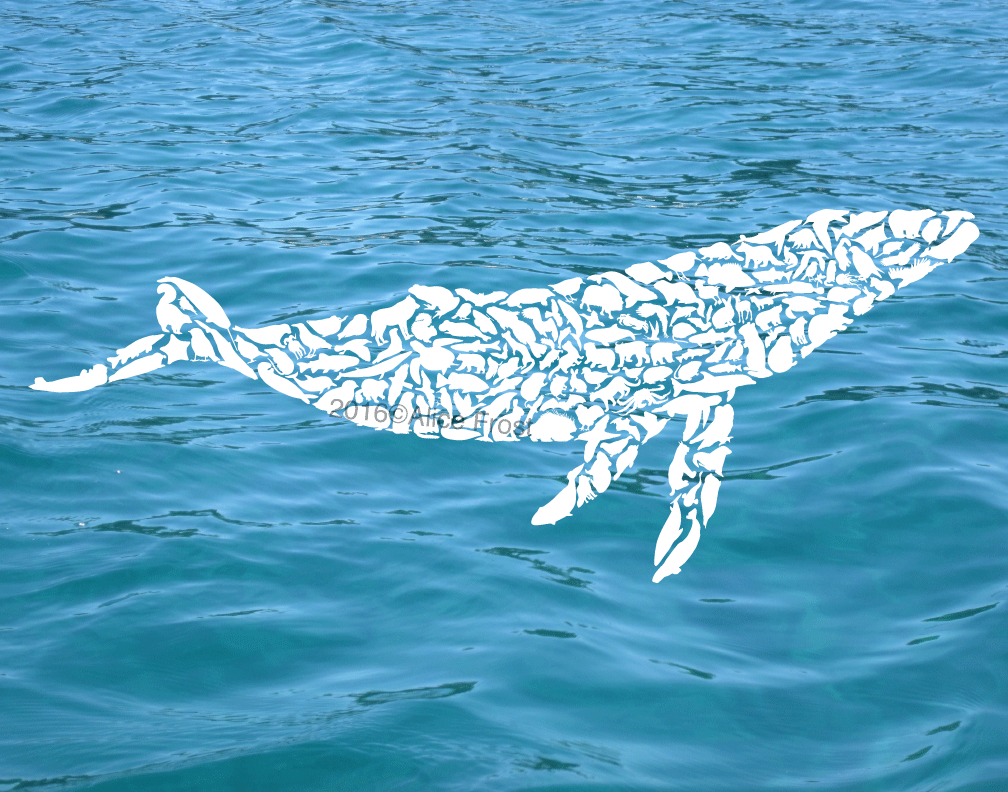 Arctic Animals – Alice Frost Studio