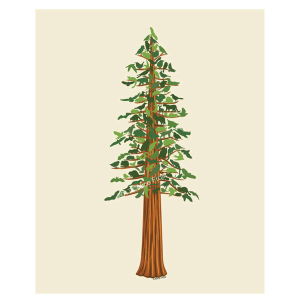 Redwood Tree Print 8x10 or 11x14 – Alice Frost Studio